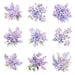 30 Lilac Flowers Watercolor Clipart, PNG Digital Files on Transparent ...