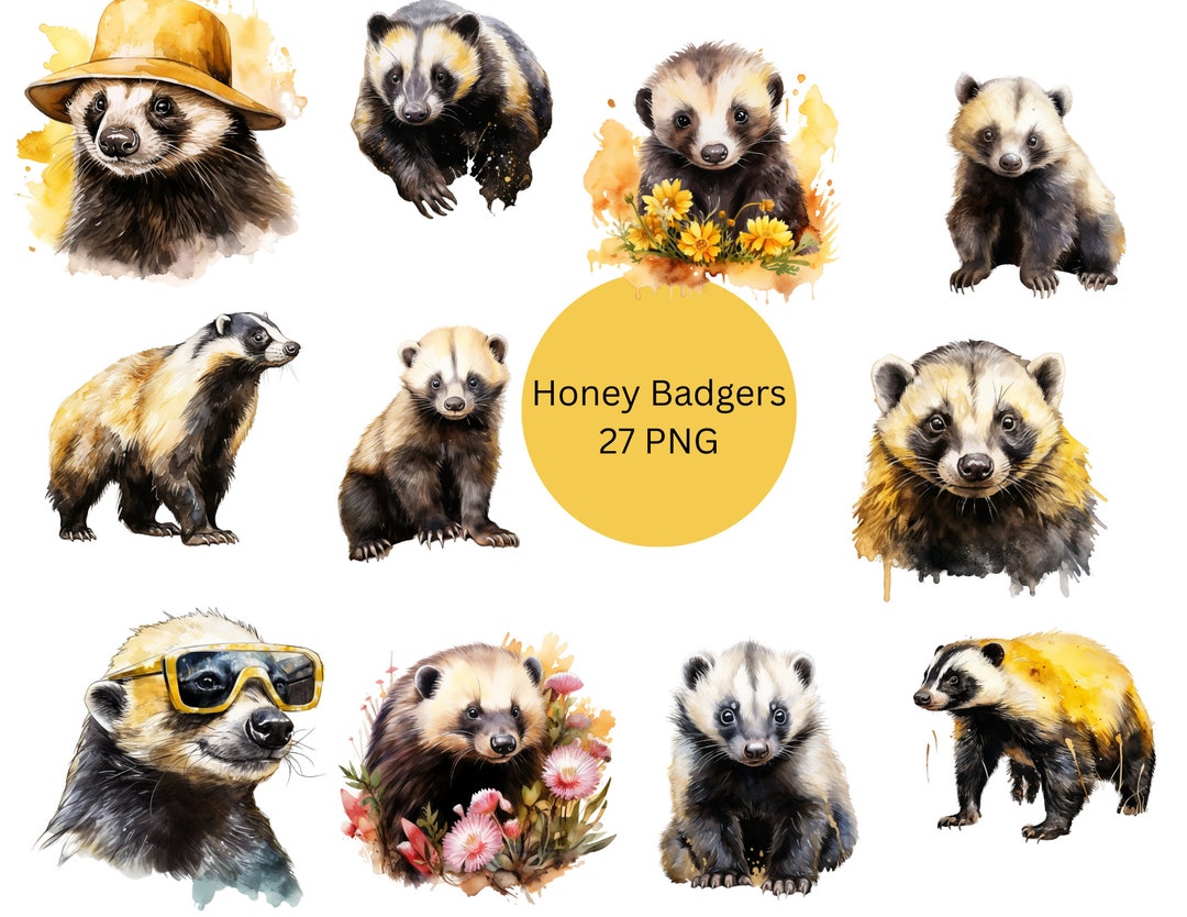 Watercolor Honey Badgers Clipart, PNG Digital Files on a Transparent ...