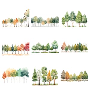 Watercolor Tree Borders Clipart, PNG Digital Files on Transparent ...