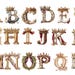 Royal Crown Alphabet Clipart - Regal Crowned Letters PNG Individual ...