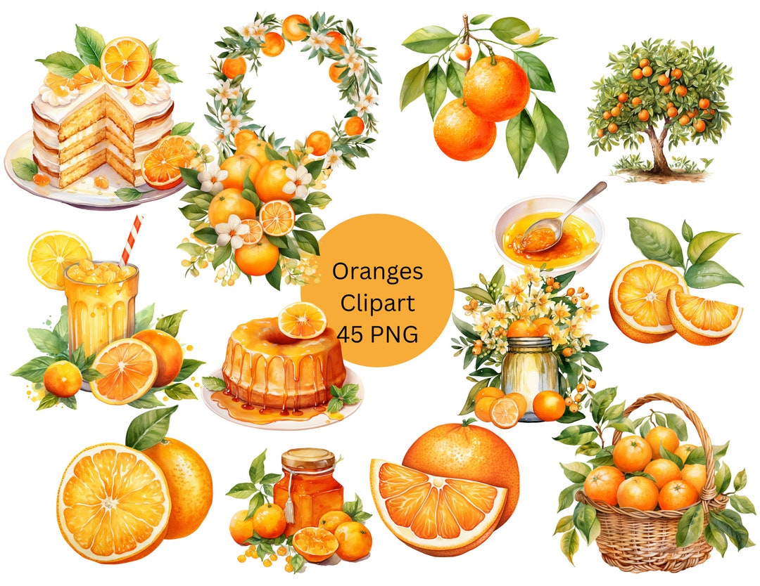 Watercolor Oranges Clipart, PNG Digital Files on Transparent Background ...