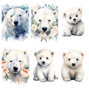 Watercolor Polar Bears Clipart, PNG Digital Files on Transparent ...