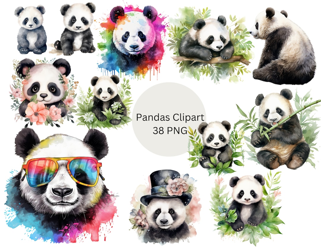 Watercolor Panda Bears Clipart, PNG Digital Files on a Transparent ...