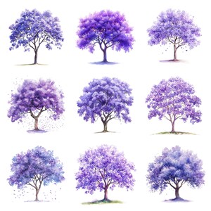 Jacaranda Purple Trees Clipart - 19 PNG Watercolor Digital Images, PNG ...