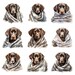 34 Snuggly German Shorthaired Pointers Watercolor Clipart, Pets Clipart ...