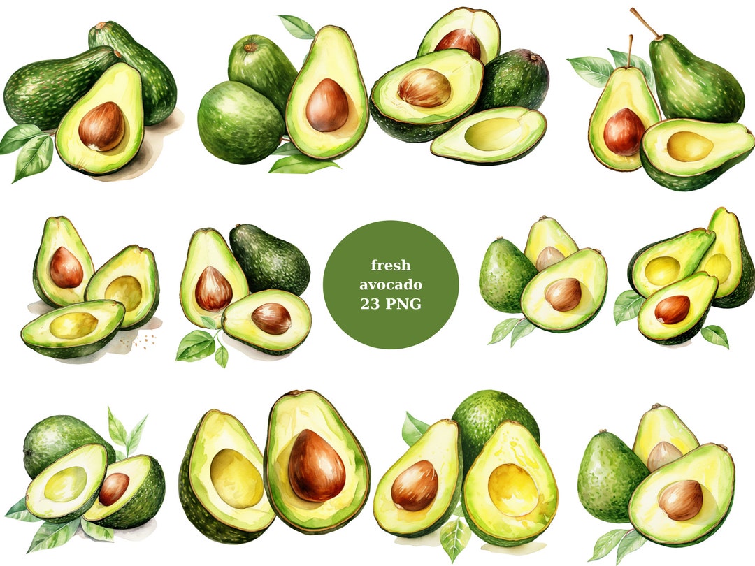 Watercolor Avocado Clipart, PNG Digital Files on Transparent Background ...