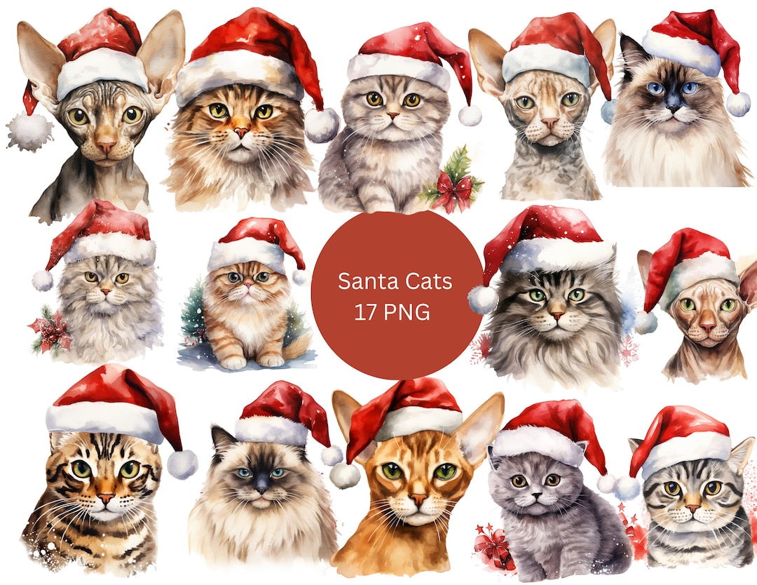Watercolor Santa Cats Clipart, Christmas PNG Digital Files on ...