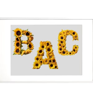 Sunflowers Alphabet , Clipart, 12x12, Commercial Use, Transparent ...
