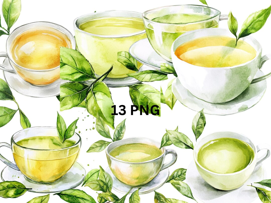 13 Green Tea Watercolor Clipart, PNG Digital Files on Transparent ...