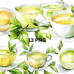 13 Green Tea Watercolor Clipart, PNG Digital Files on Transparent ...
