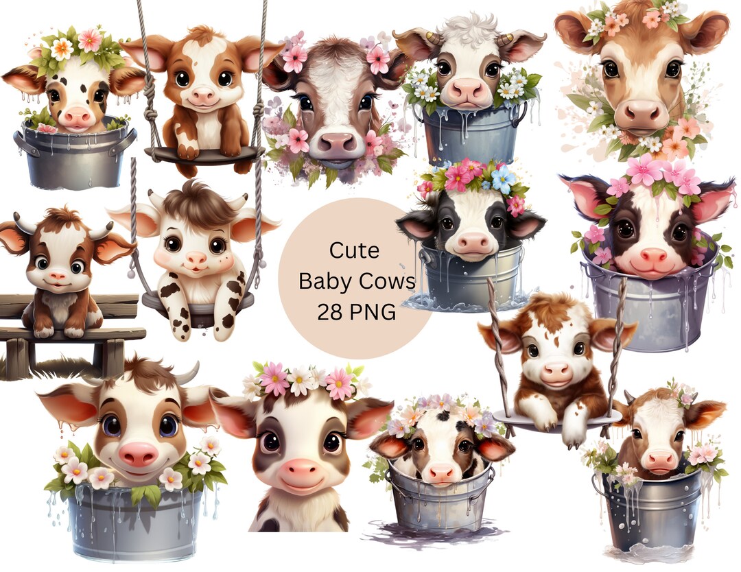 Cute Cows Clipart, PNG Individual Images on Transparent Background ...