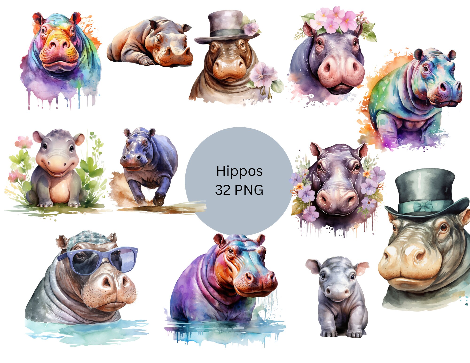 Watercolor Hippopotamus Clipart PNG Digital Files on - Etsy