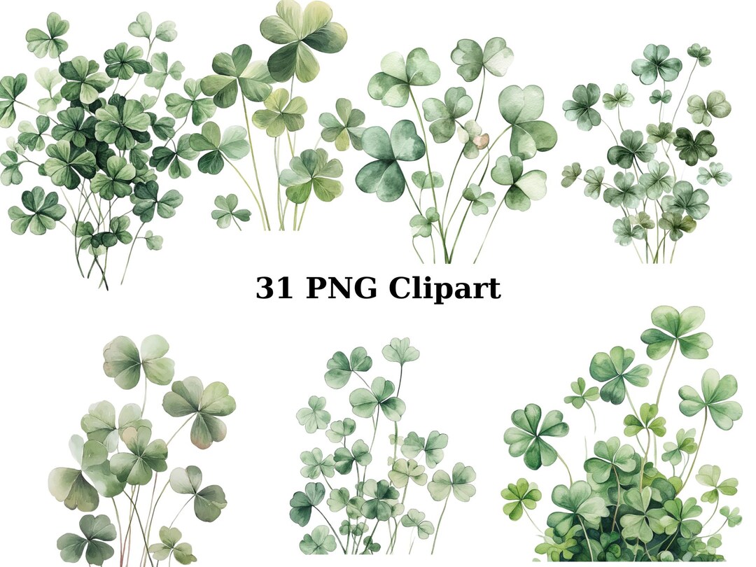 31 Shamrock Watercolor Clipart, Nature Clipart, PNG Individual Images ...