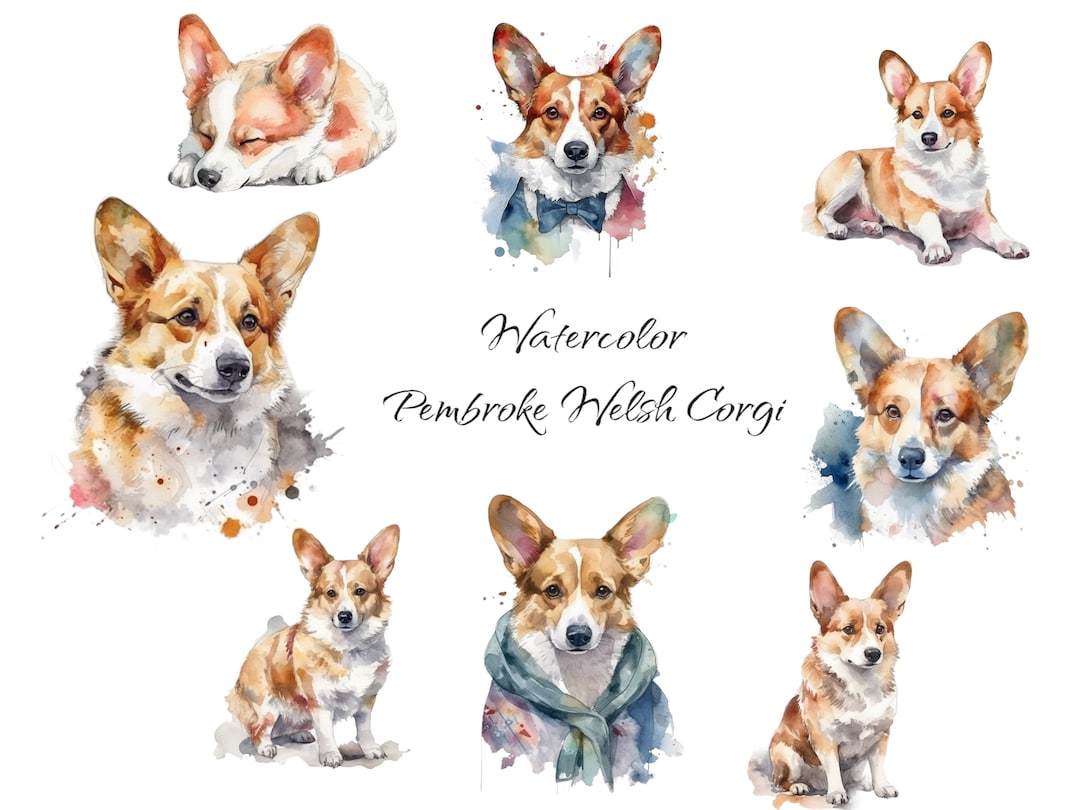 Watercolor Pembroke Welsh Corgi Clip Art, PNG Digital Files on ...