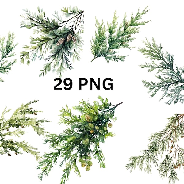 Watercolor Evergreen - Etsy