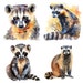 Watercolor Coatimundis Clipart, Coatis PNG Digital Files on Transparent ...