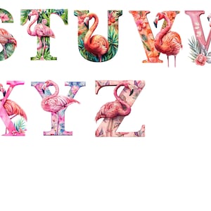 Watercolor Flamingo Alphabet Clipart, PNG Individual Images on ...