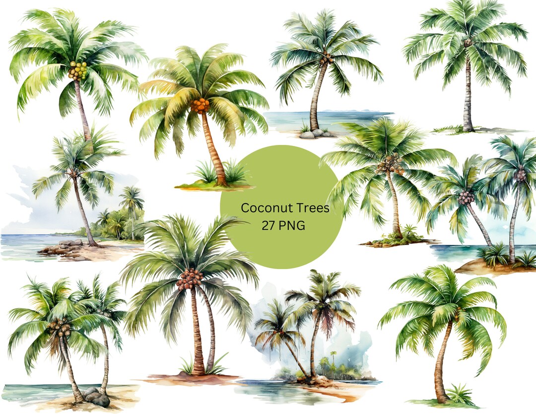 Watercolor Coconut Trees Clipart, PNG Digital Files on Transparent ...