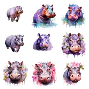 Watercolor Hippopotamus Clipart, PNG Digital Files on Transparent ...