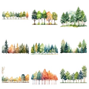 Watercolor Tree Borders Clipart, PNG Digital Files on Transparent ...