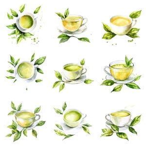 13 Green Tea Watercolor Clipart, PNG Digital Files on Transparent ...