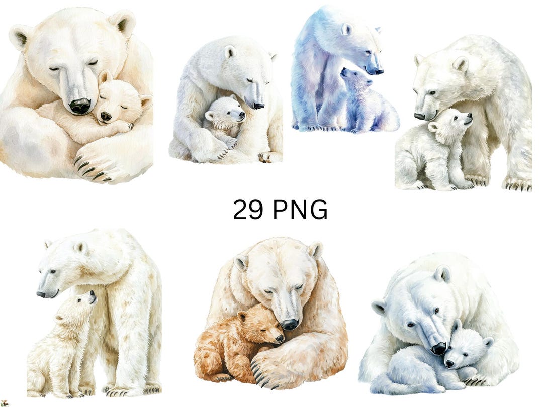 Polar Bear Family Clipart Set - 29 Watercolor Arctic Wildlife ...