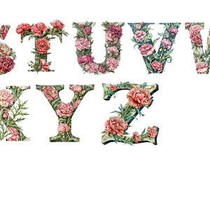 Carnation Flower Alphabet Watercolor Clipart, Floral Clipart, PNG ...