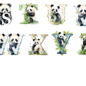 Watercolor Panda Alphabet in PNG for Commercial Use Instant Download ...