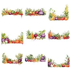 Watercolor Vegetable Borders Clipart, PNG Digital Files on Transparent ...