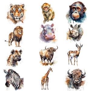 Watercolor Safari Animals Clipart, PNG Digital Images, Transparent ...
