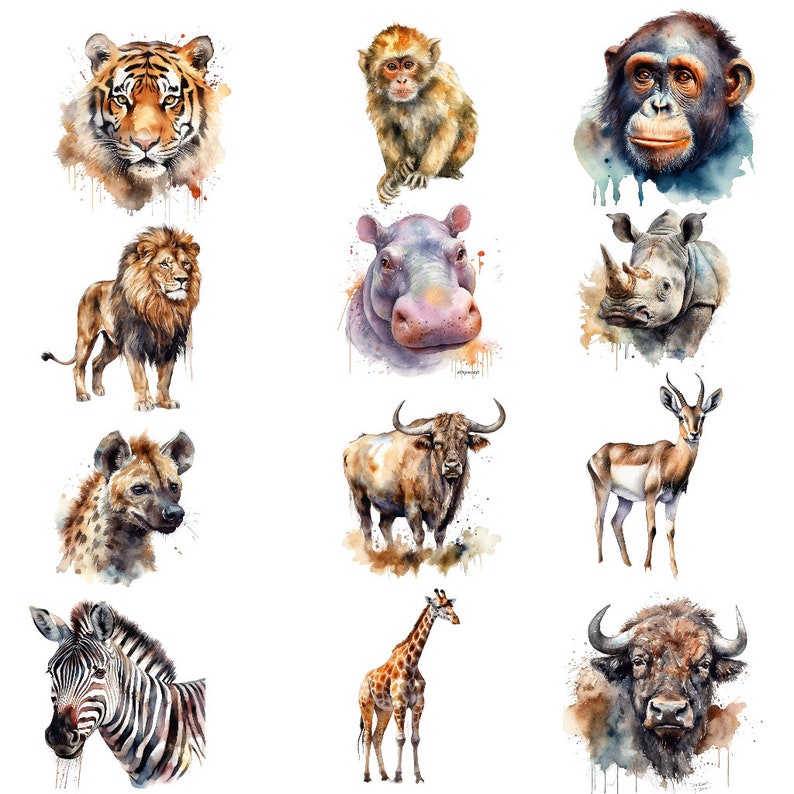 Watercolor Safari Animals Clipart PNG Digital Images - Etsy