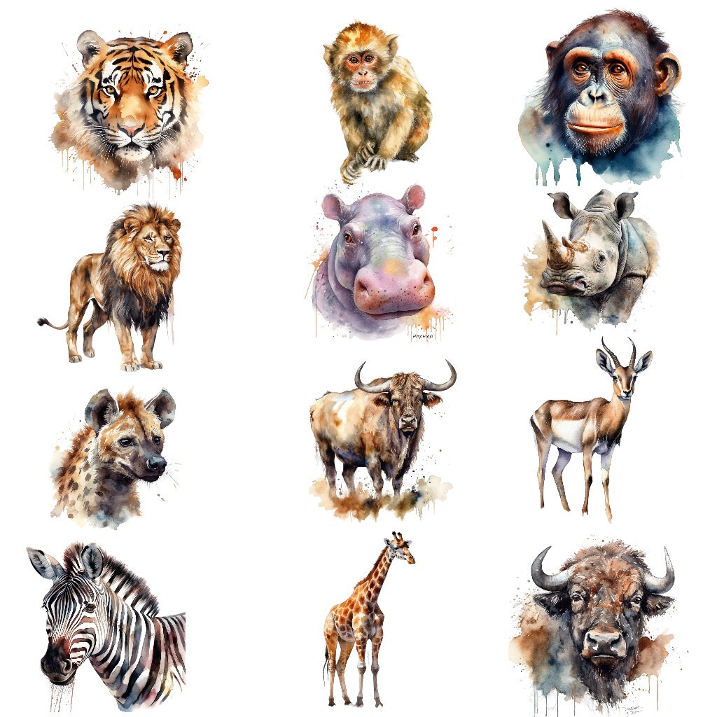 Watercolor Safari Animals Clipart PNG Digital Images - Etsy
