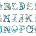 Watercolor Shark Alphabet Clipart, PNG Individual Images on Transparent ...