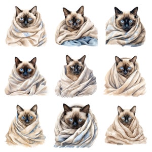 40 Snuggly Siamese Watercolor Clipart, Pets Clipart, PNG Individual ...