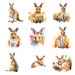 Watercolor Wallabies Clipart, PNG Digital Files on a Transparent Background, Scrapbook ...