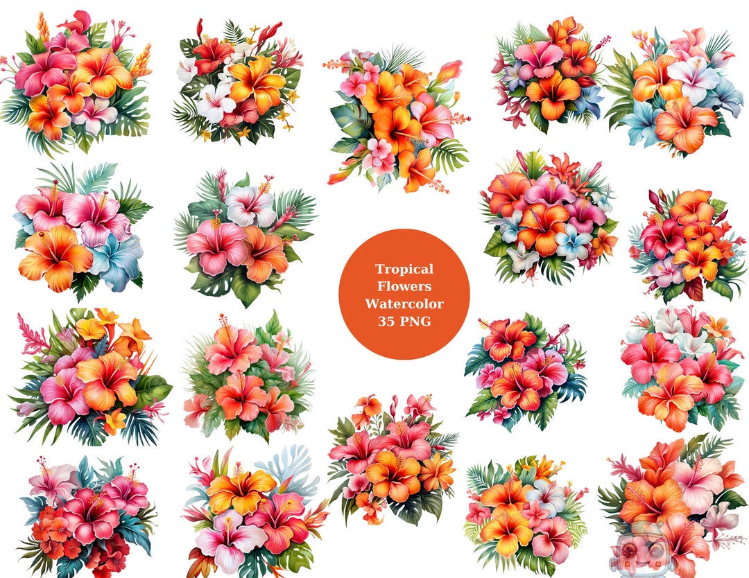 Watercolor Tropical Flowers Clipart, PNG Individual Images on ...