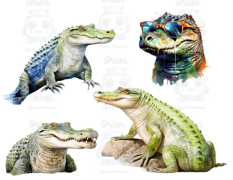 Nile Crocodile Watercolor Clipart, PNG Digital Files on a Transparent ...