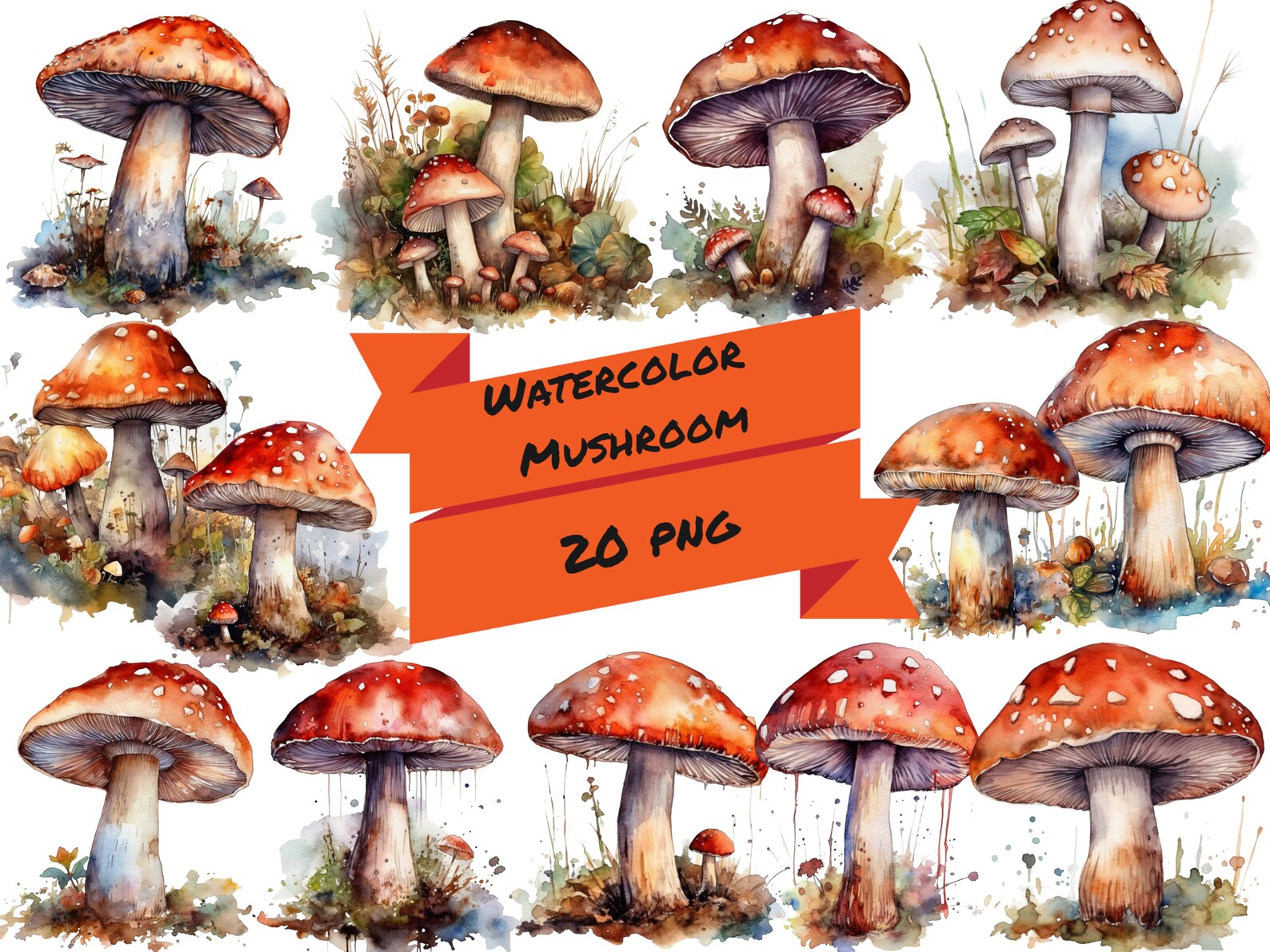 Watercolor Mushrooms Clipart, PNG Digital Files on Transparent ...