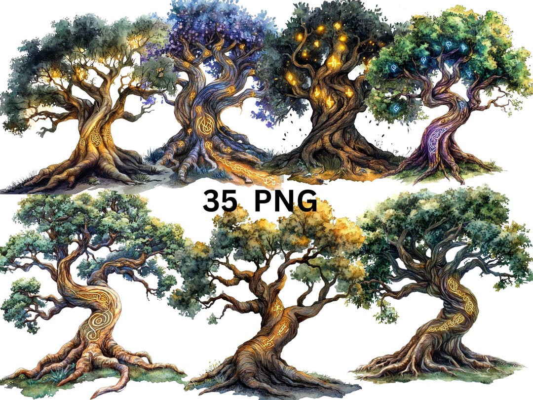 35 Ancient Trees Watercolor Clipart, PNG Digital Files on Transparent ...
