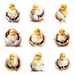 20 Baby Chick Hatching Watercolor Clipart, Bird Clipart, PNG Digital ...