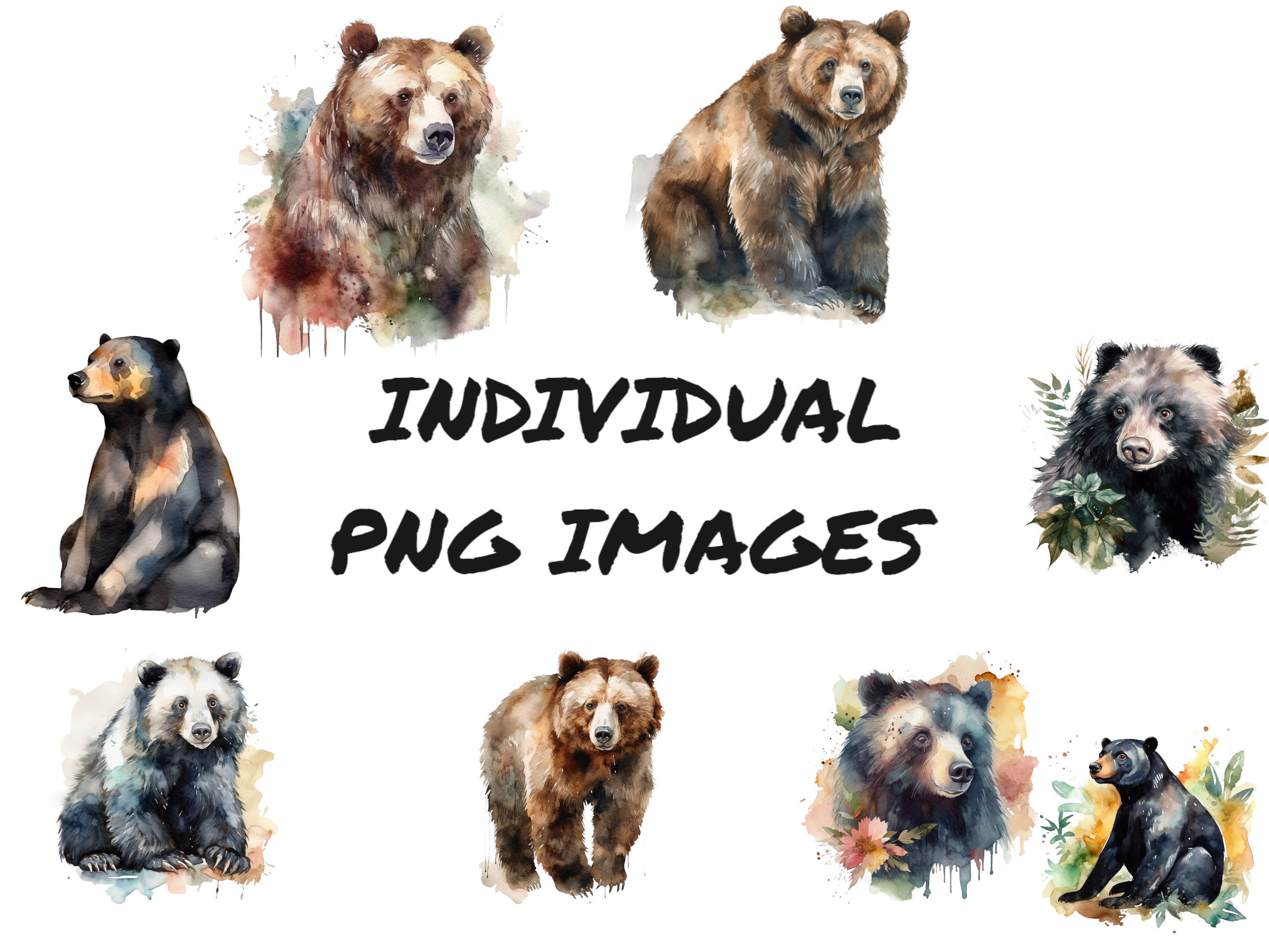 Watercolor Bears Clipart PNG Digital Files on Transparent - Etsy