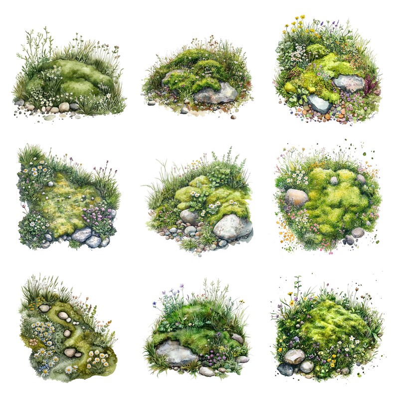 32 Moss Watercolor Clipart, PNG Digital Files on Transparent Background ...