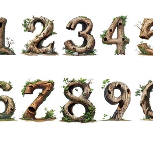 Wooden Tree Trunk Numbers Png, Instant Download for Commercial Use ...