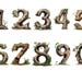 Wooden Tree Trunk Numbers Png, Instant Download for Commercial Use ...