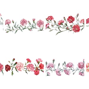45 Carnation Borders Watercolor Clipart, Floral Clipart, PNG Digital ...