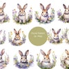 Watercolor Bunnies Clipart, PNG Digital Images, High Quality ...