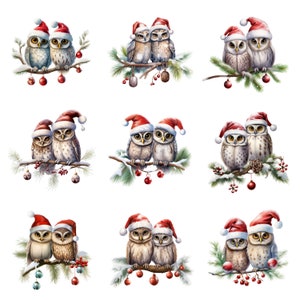 26 Santa Owls Clipart, Christmas Clipart, PNG Individual Images on ...
