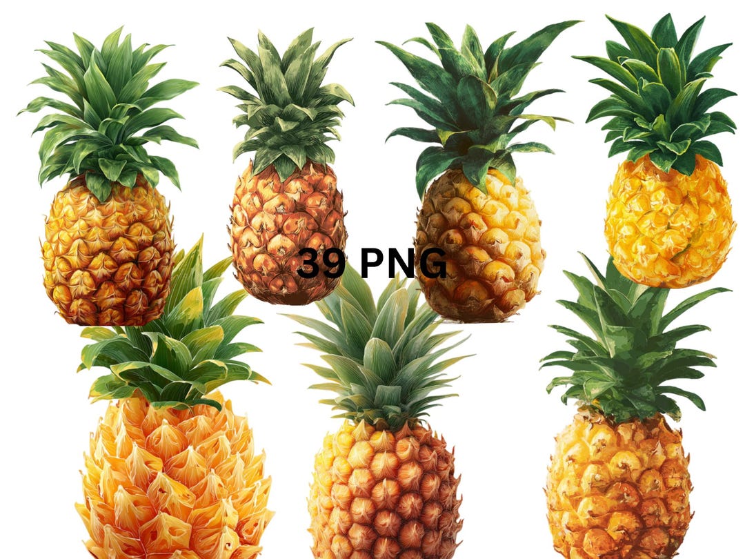 39 Pineapple Clipart Set, Tropical Fruit PNG, Whole Pineapple PNG ...