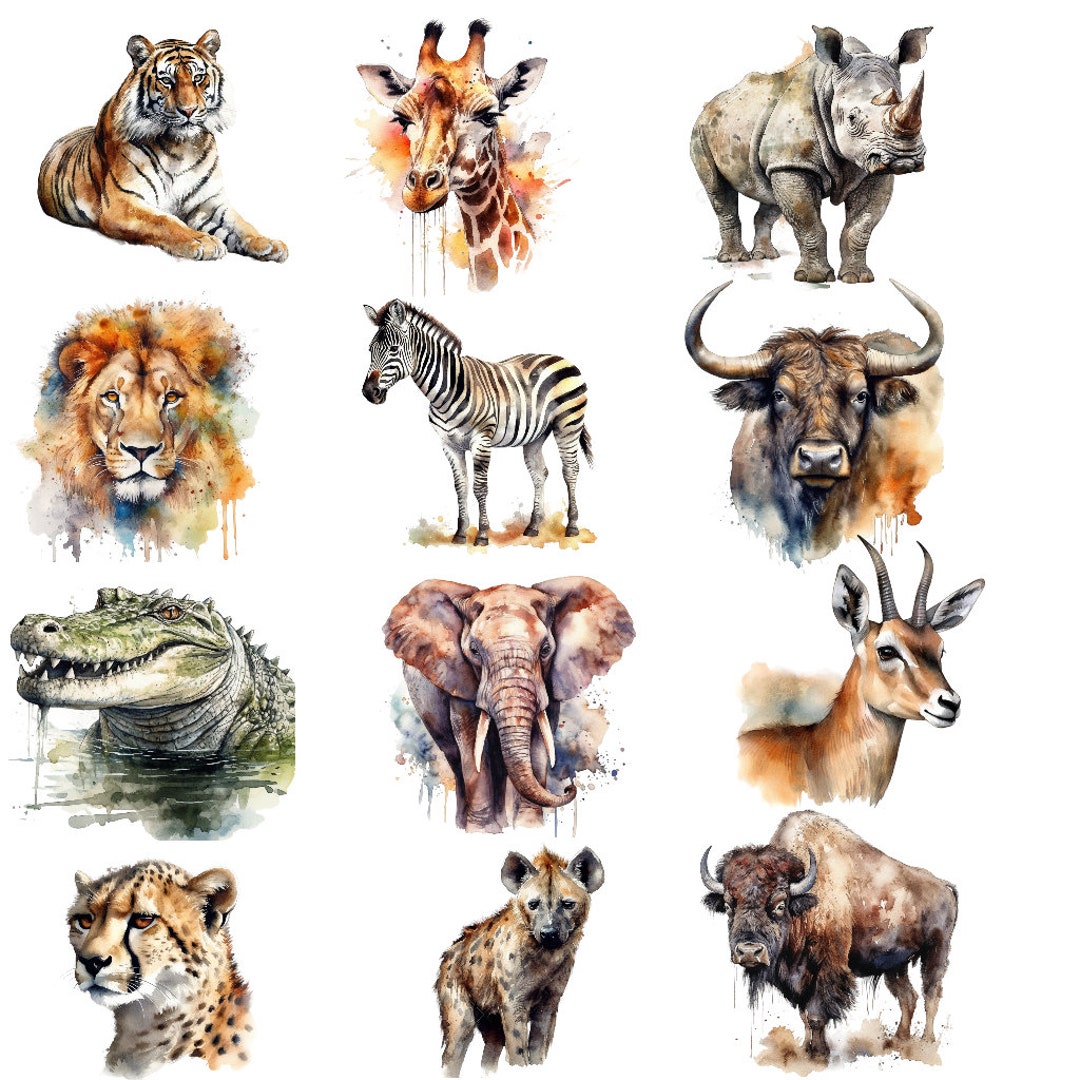 Watercolor Safari Animals Clipart, PNG Digital Images, Transparent ...