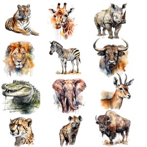 Watercolor Safari Animals Clipart, PNG Digital Images, Transparent ...